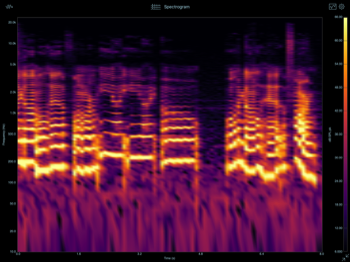 SignalScope Basic 2018 for iOS